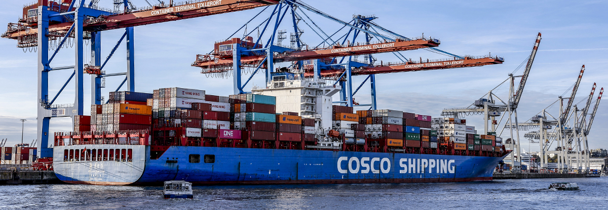 Europe and Economic Coercion: Compensation and Solidarity | Institut ...